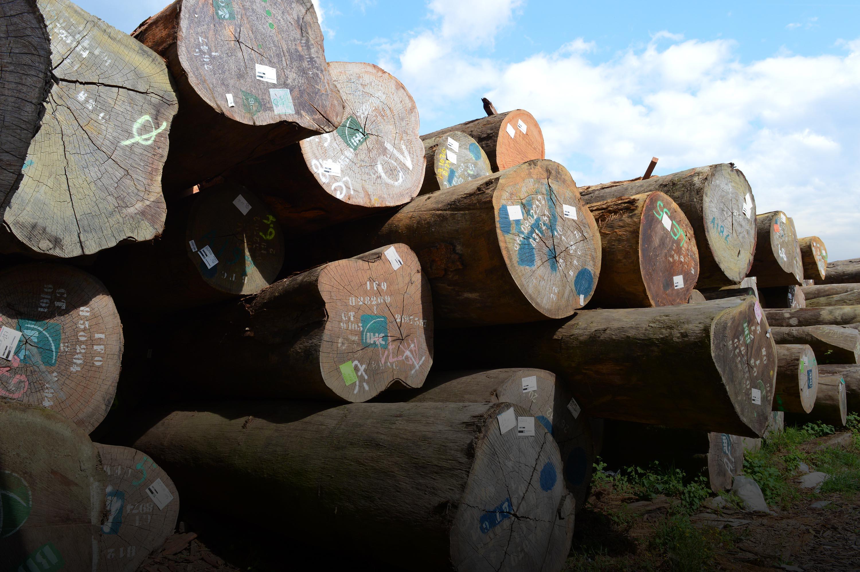 Woodrow - tropisch hardhout op maat